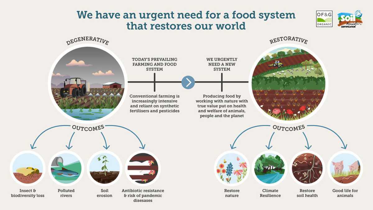 Organic or Regenerative - what’s the difference? | OF&G