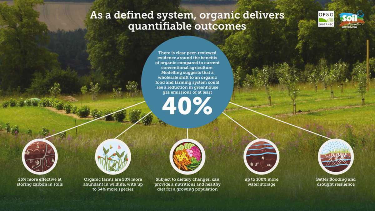 Organic or Regenerative - what’s the difference? | OF&G