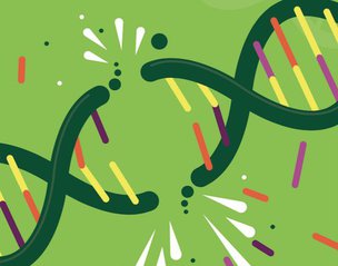 OF&G Briefing Note - The Genetic Technology (Precision Breeding) Bill ...